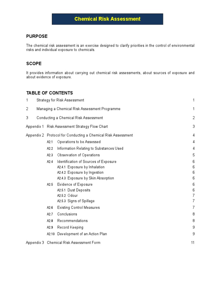 Chemical Risk Assessment: Purpose | PDF | Risk Assessment | Personal ...