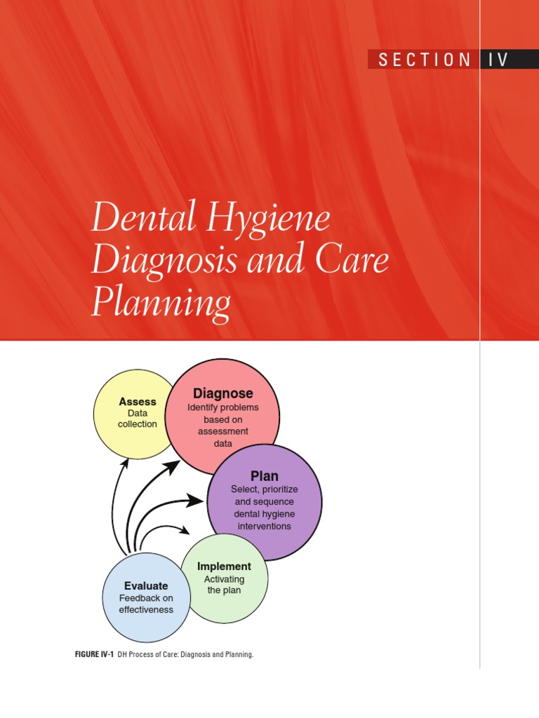 Planning for Optimal Oral Health: Developing a Comprehensive Dental ...