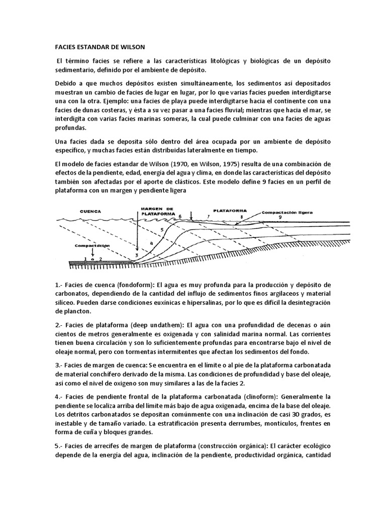 Resumen del modelo de facies estándar de Wilson que define nueve facies ...
