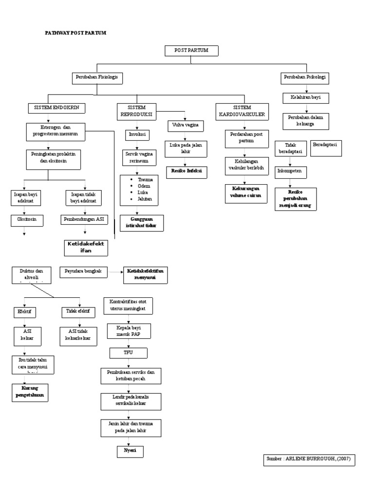 Pathway Post Partum | PDF