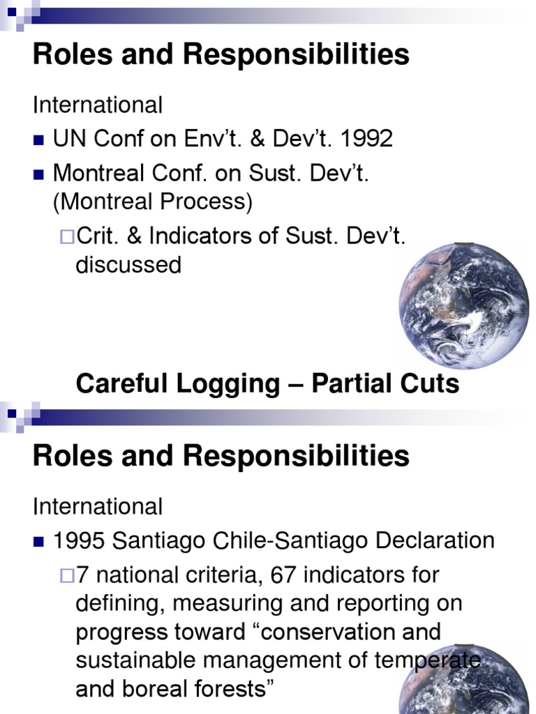 2 Roles & Responsibilities | PDF | Logging | Natural Environment