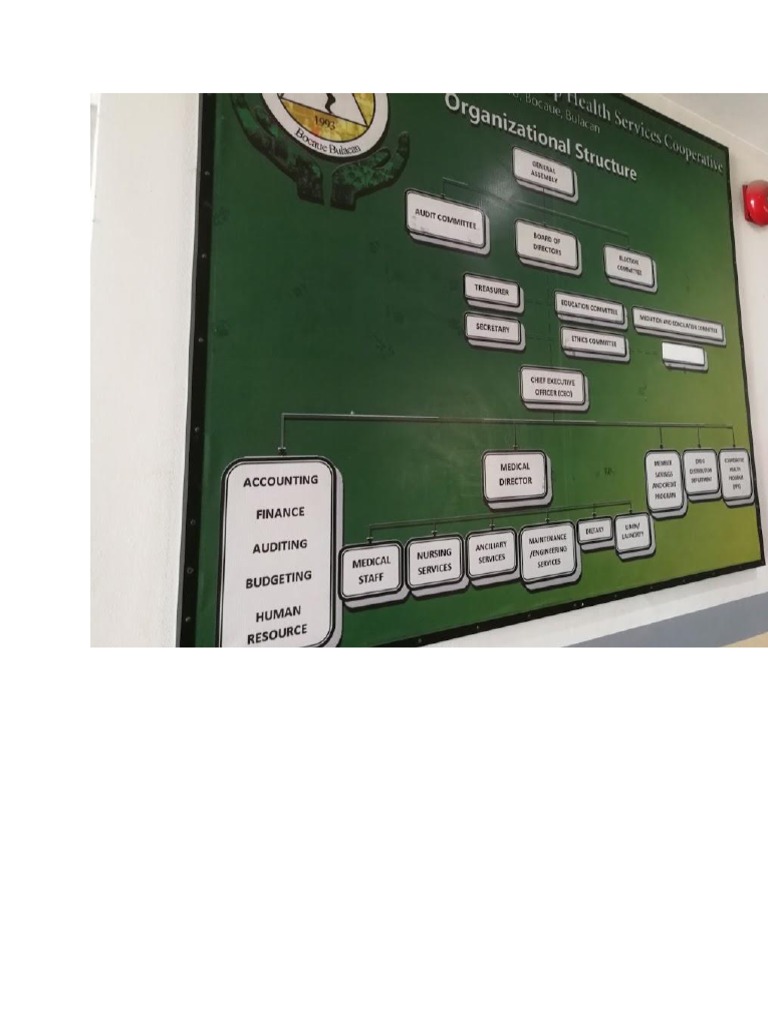 BMMG Org Chart | PDF