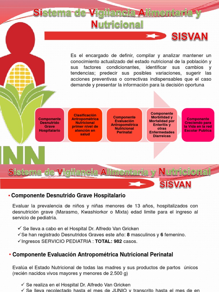 Sisvan 2017 (Dexy Elizabeth Perozo Caicedo) | PDF | Nutrición | Dieta y ...