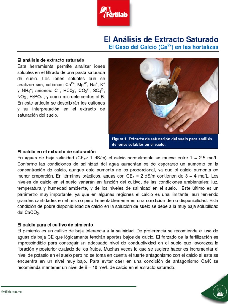 El Analisis de Extracto Saturado | PDF | Calcio | Potasio