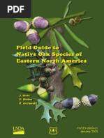 Tree Identification Cards | PDF | Flora | Trees