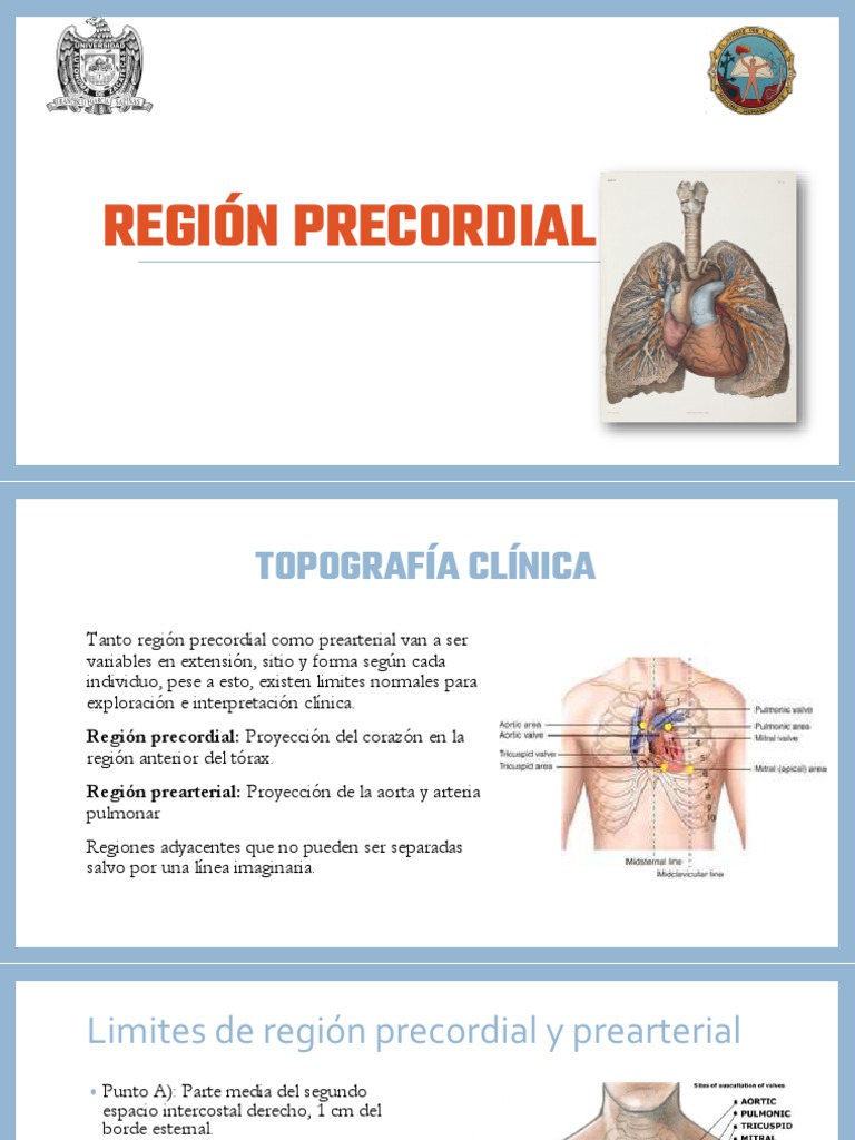 PRECORDIO - PPTX - Show | PDF | Corazón | Ventrículo (corazón)