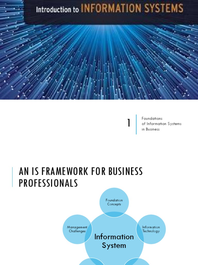Foundations of Information Systems in Business | PDF | Information ...
