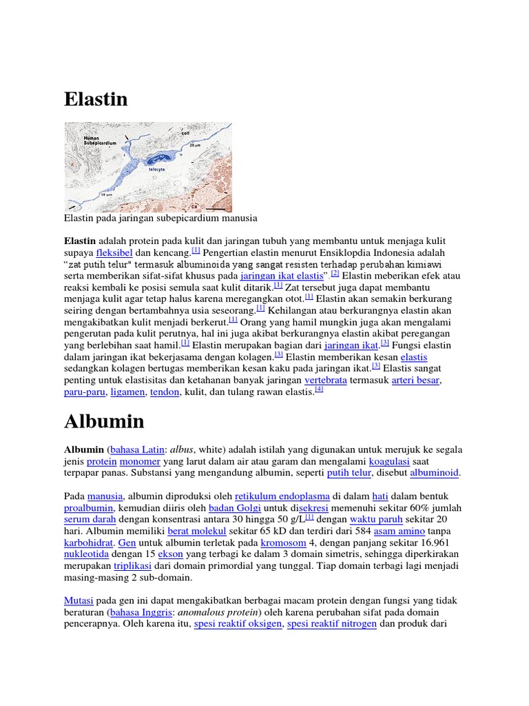 Elastin Albuminoid Dan Fibrilin | PDF | Kesehatan Holistik | Sains ...