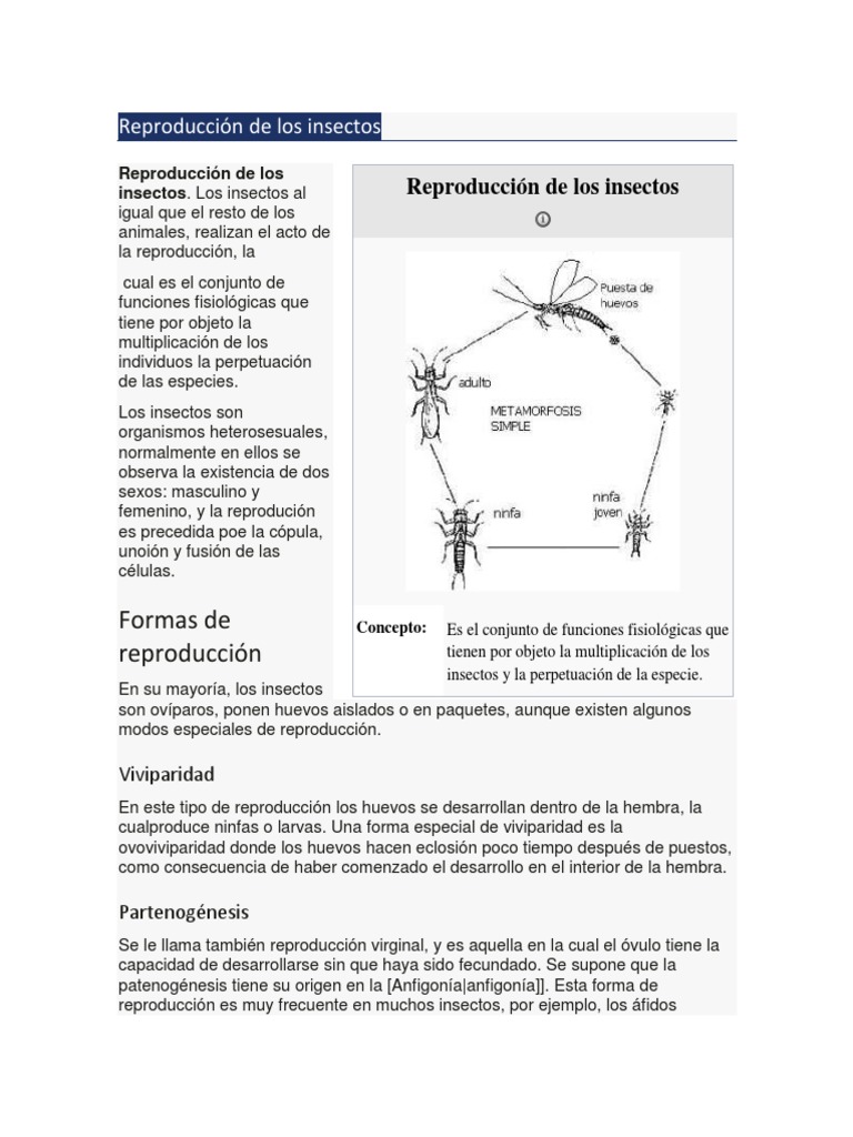 Reproducción de Los Insectos | PDF | Insectos | Reproducción