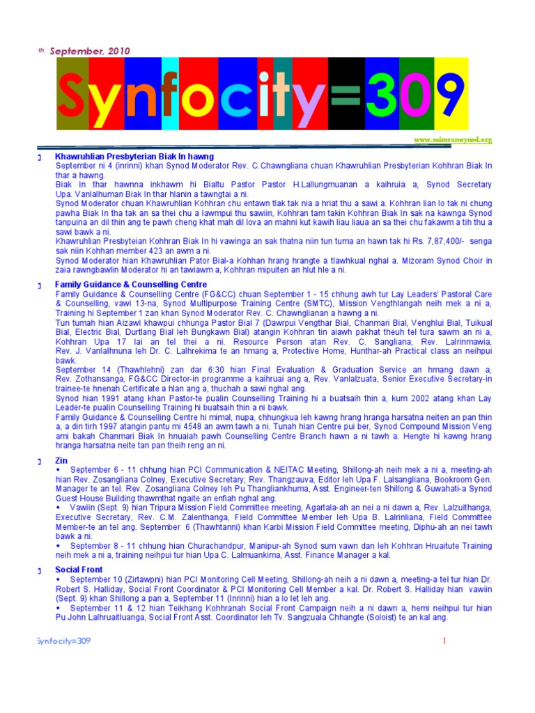 Synfocity 309 | PDF