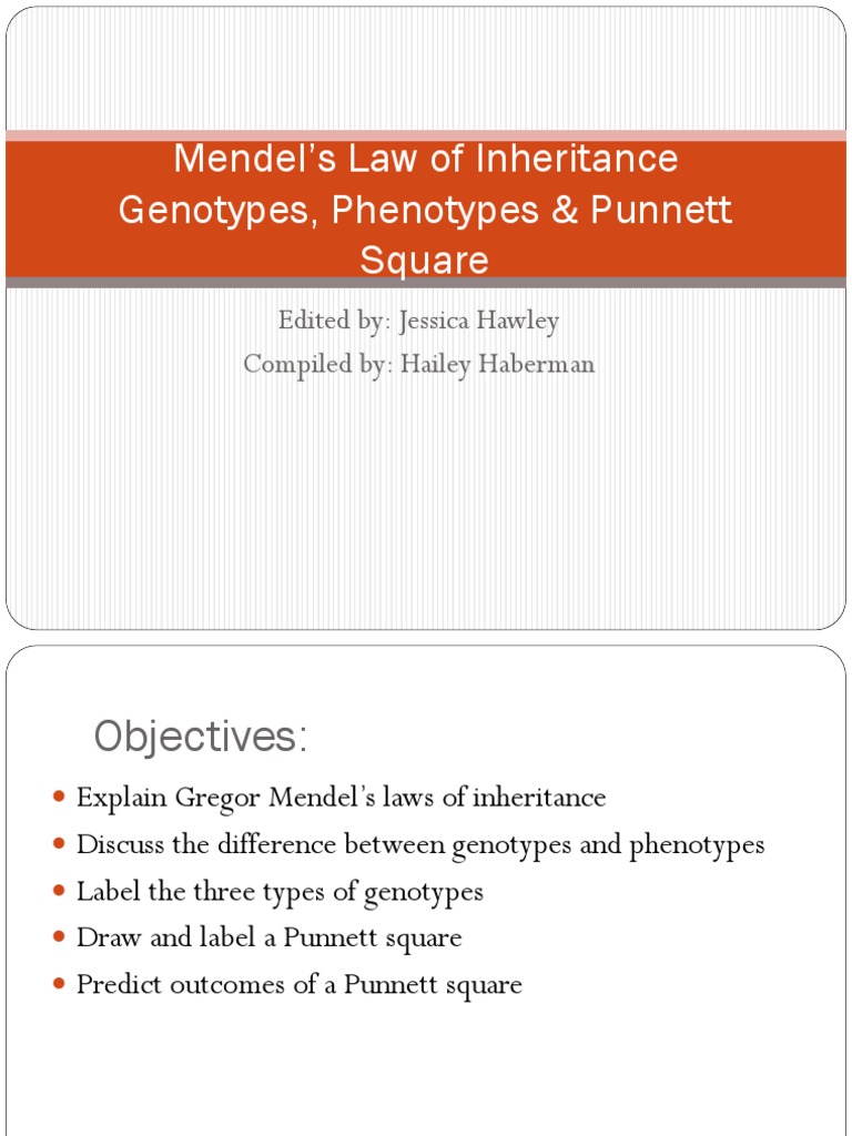 Mendel's Law of Inheritance Genotypes, Phenotypes & Punnett Square ...