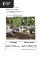 Direct Planting and Transplanting Methods | PDF | Sowing | Seed