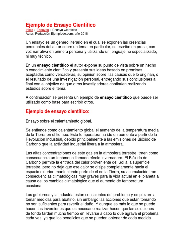 Ejemplo De Ensayo1