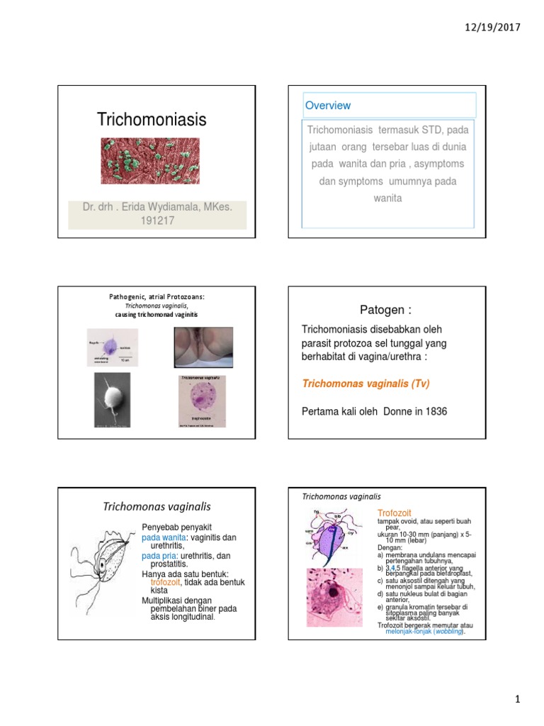 Panduan Lengkap Trichomoniasis STD | PDF