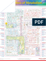 Y-Site Compatibility Chart: Drugs | PDF | Pharmacology | Organic Compounds