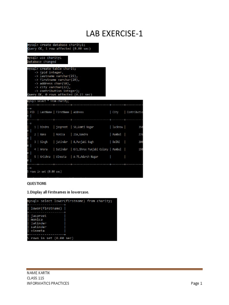 Lab Exercise of class 11 IP mysql