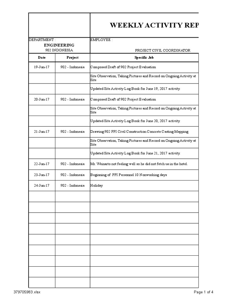 Weekly Engineering Activity Report | PDF | Business