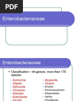 Biochemical Tests in Enterobacteriaceae | PDF | Chemical Compounds ...
