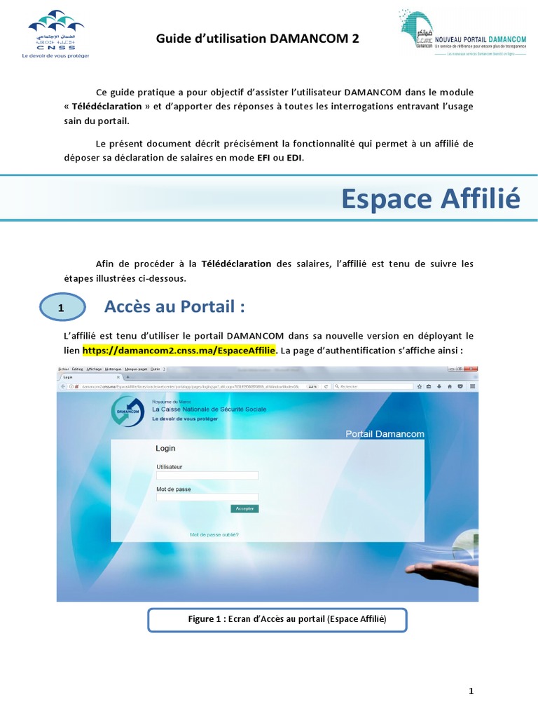 Guide Télédeclaration PDF | PDF | Informatique | Logiciel