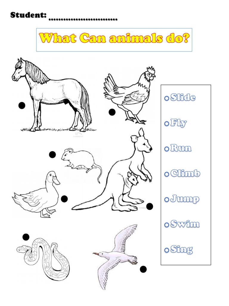 Animals | PDF