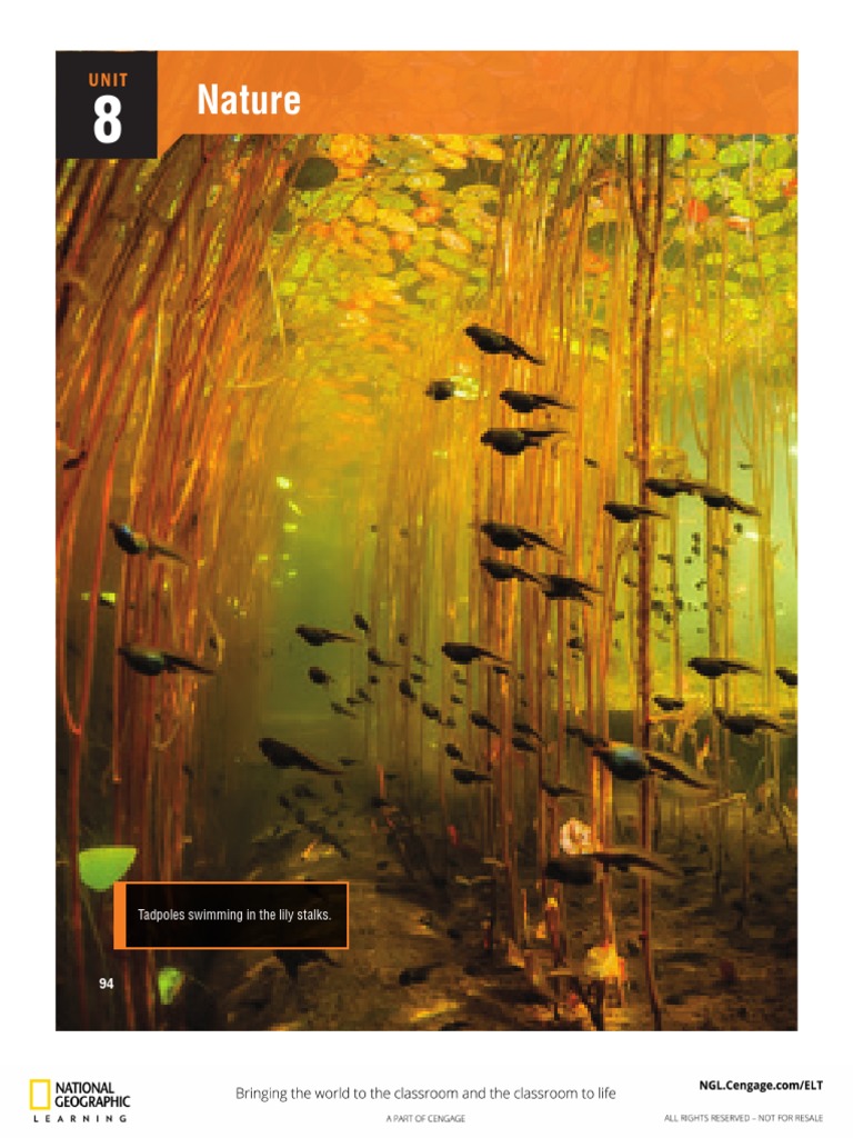 Level 2 Unit 8 Final World Class | PDF | Poaching | Crime & Violence