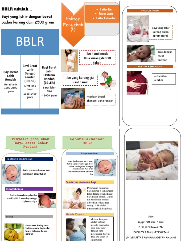 Leaflet BBLR | PDF