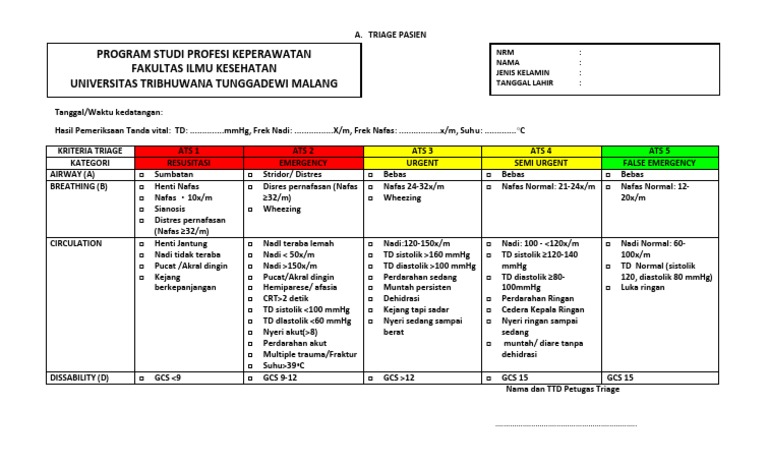 Triage Pasien | PDF