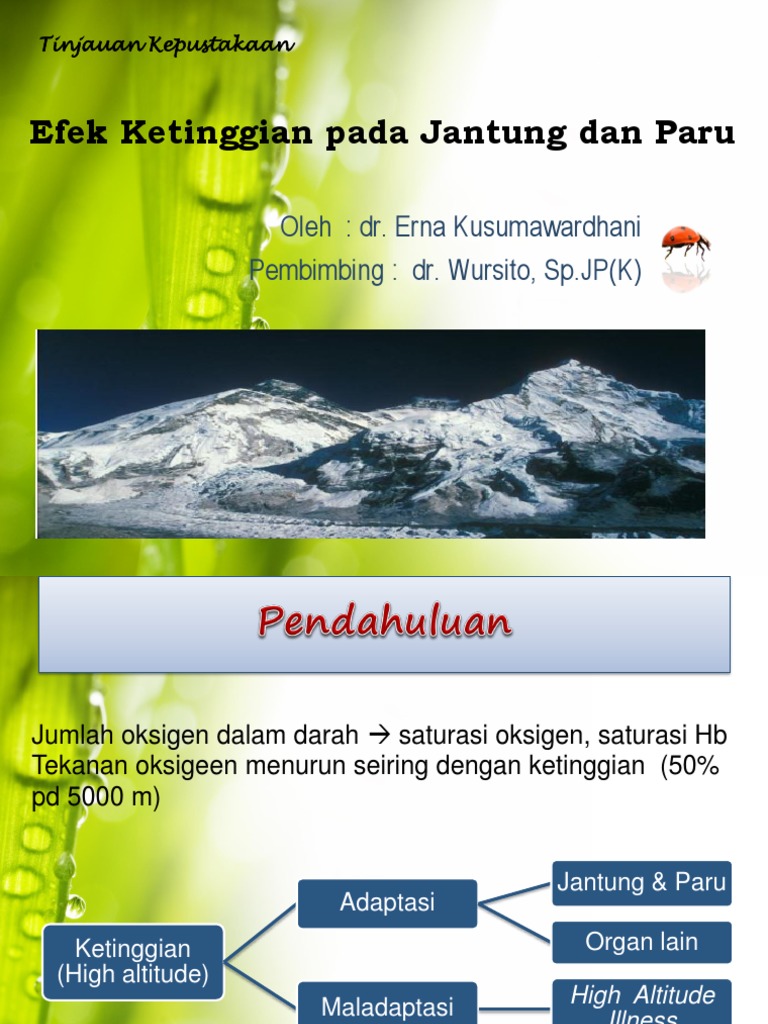 TK High Altitude | PDF | Sains & Matematika