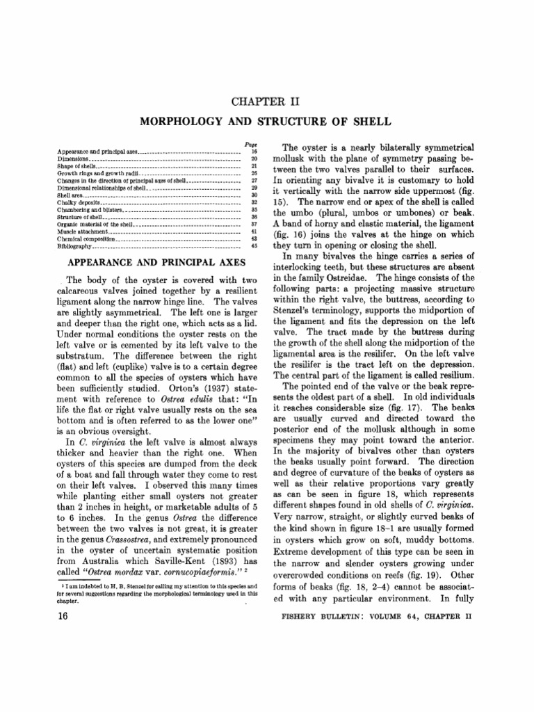Morphology and Structure of Shell | PDF | Bivalvia | Oyster
