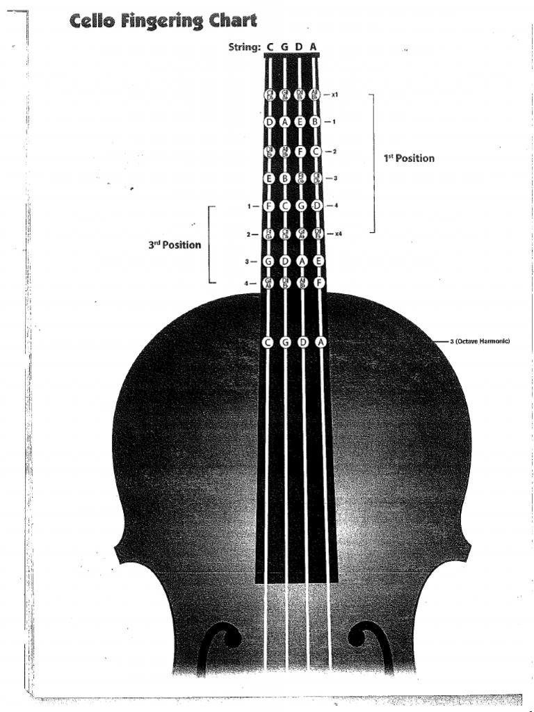 Cello Fingering Chart | PDF
