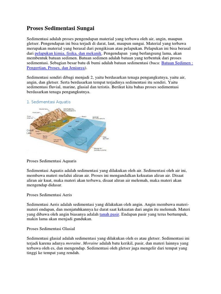 Proses Sedimentasi Sungai | PDF