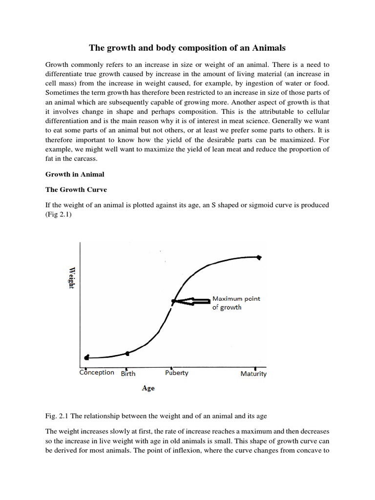 Animal Growth and Body Composition Insights | PDF | Meat | Plants