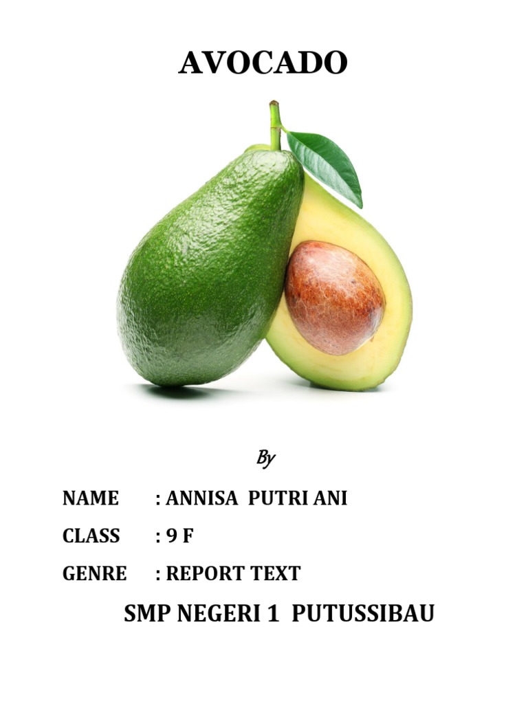 Avocado | PDF
