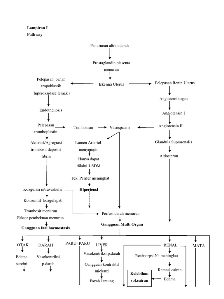 Pathway Preeklampsia | PDF