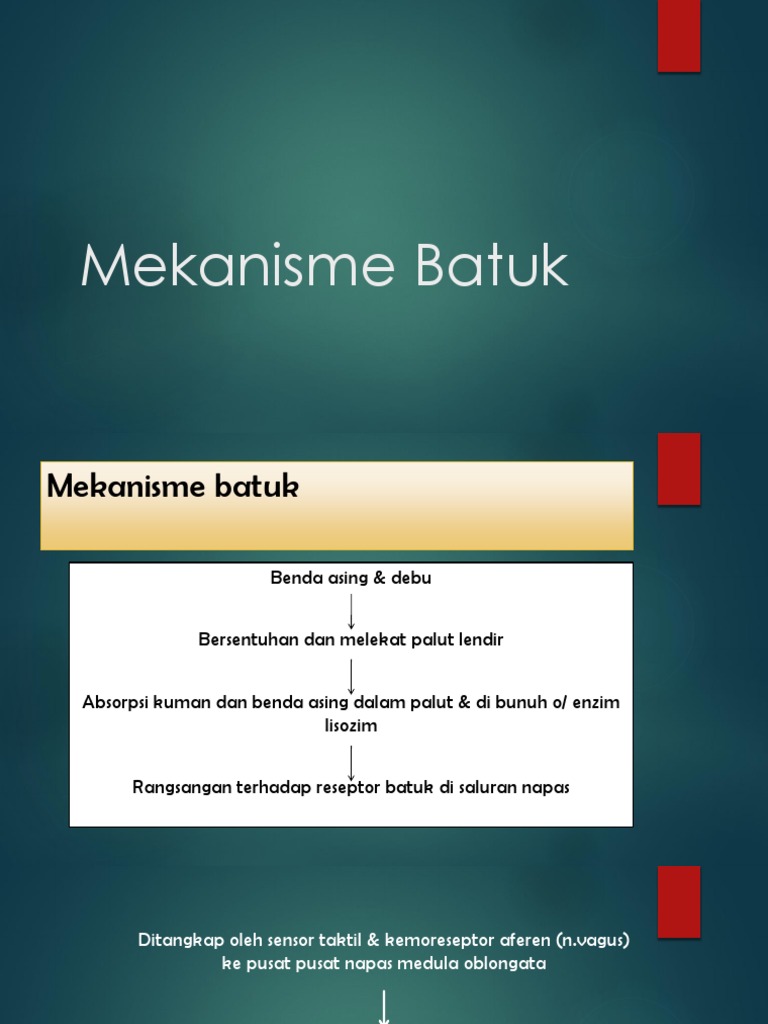 Mekanisme Batuk | PDF