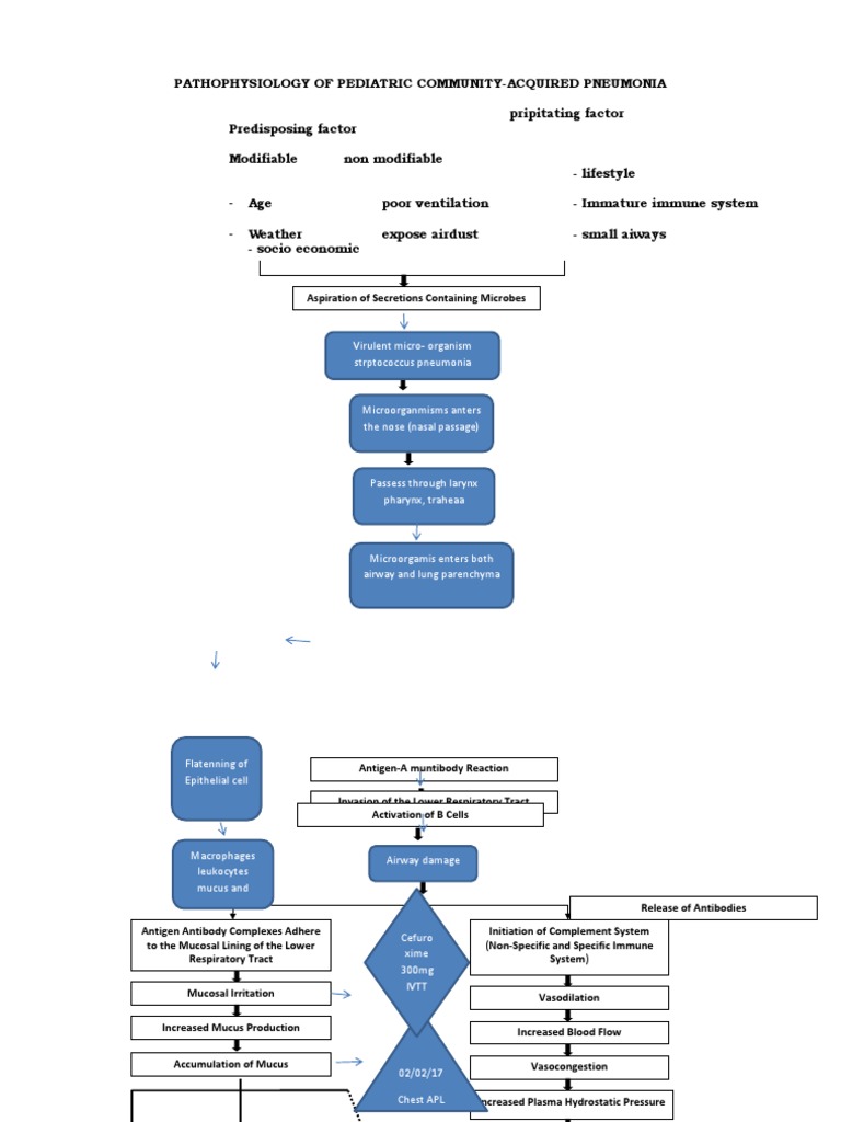 Final Patho.. | PDF | Respiratory Tract | Lung