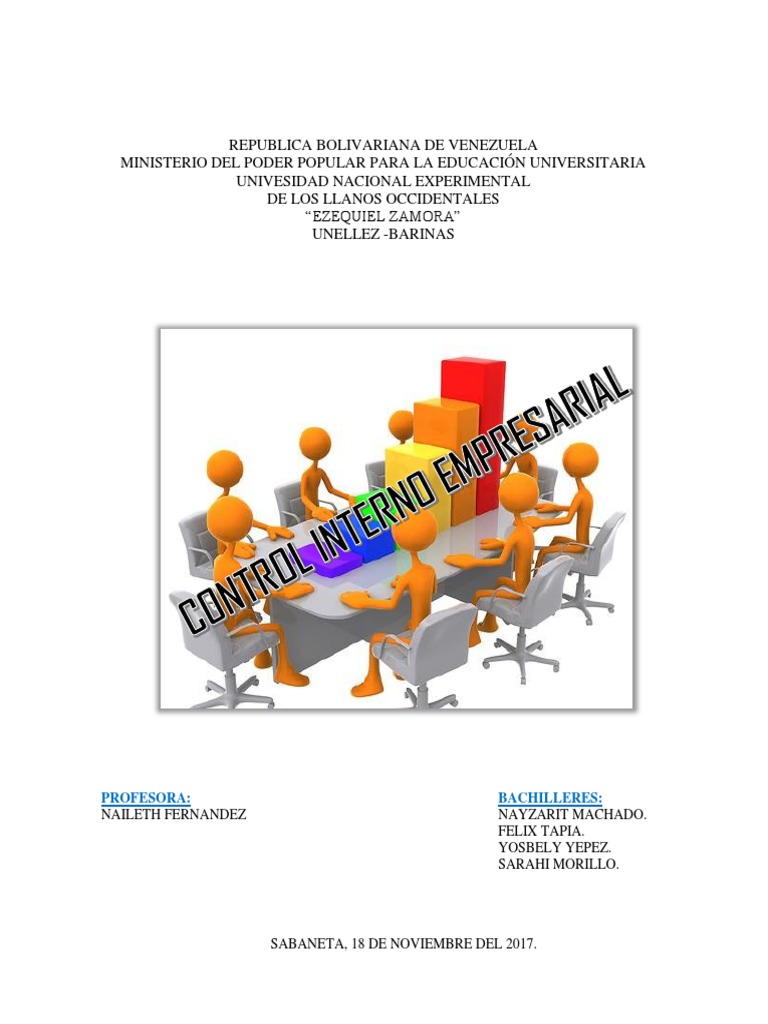Principios Del Control Interno | PDF | Información | Toma de decisiones