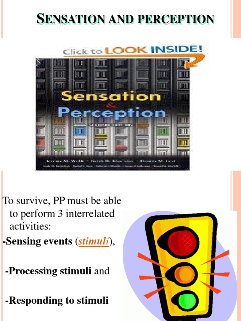 Sensation And Perception Revised E Pdf Download Free Pdf Senses