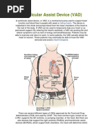 Honorhealth Scottsdale Shea Medical Center: Campus Map | PDF | Health ...