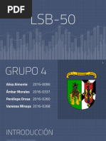LSB-50 Interpretación | PDF | Trastorno depresivo mayor | Ciencias del comportamiento