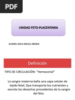 Cotiledones en la placenta y su función | PDF | Placenta | Parto