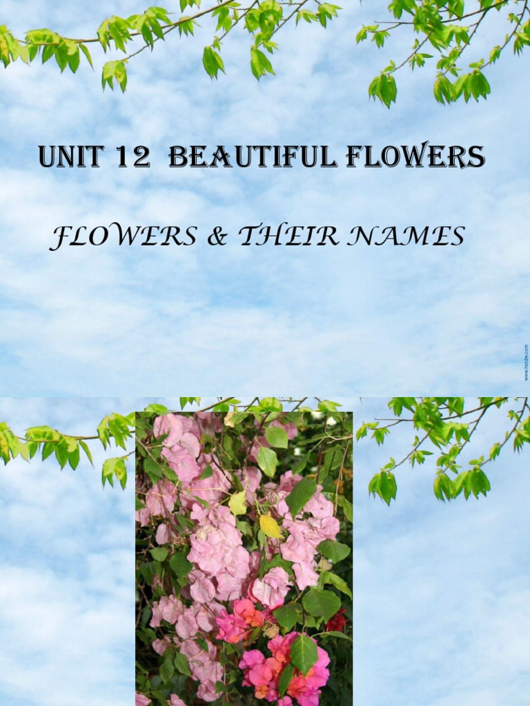 Flower Unit 12 | PDF