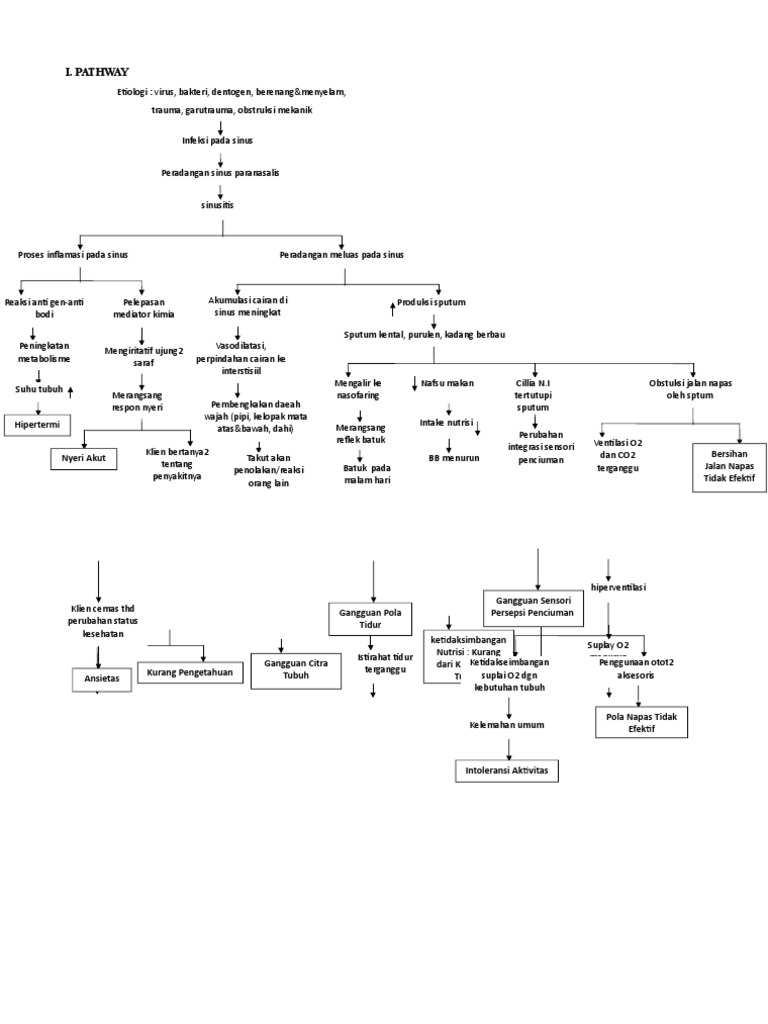 Pathway Sinusitis | PDF