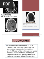 Nanda Nic Noc | PDF | Dolor | Cerebro