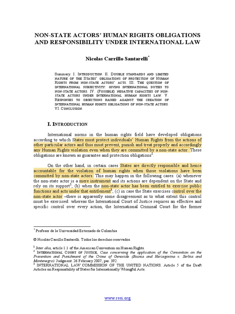 Non-State Actors' Human Rights Obligations and Responsibility Under ...