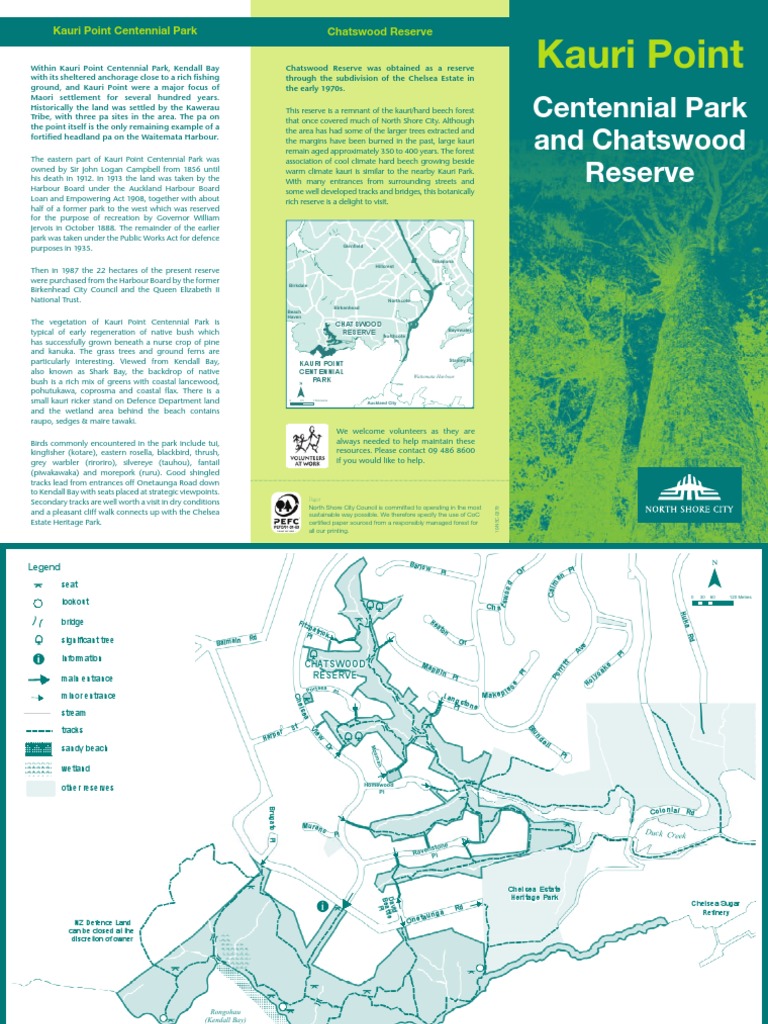 Kauri Point Centennial Park and Chatswood Reserve Brochure | PDF ...