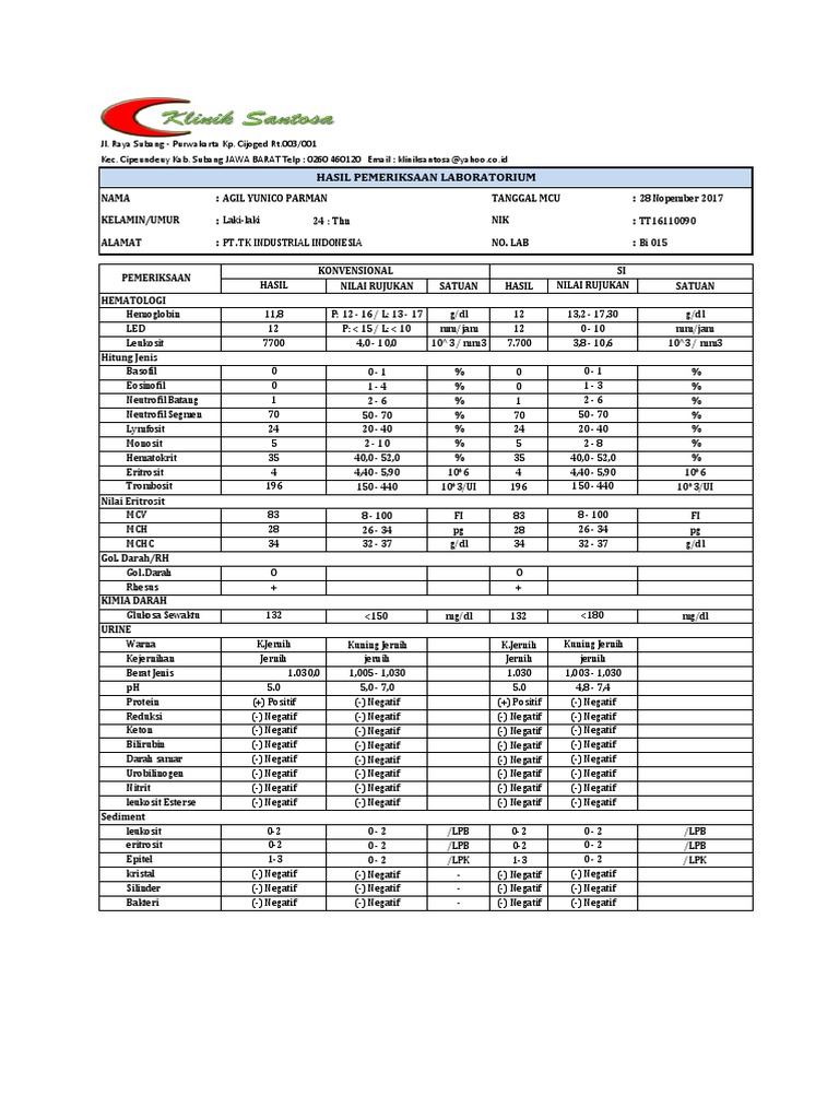 Contoh Hasil Lab | PDF