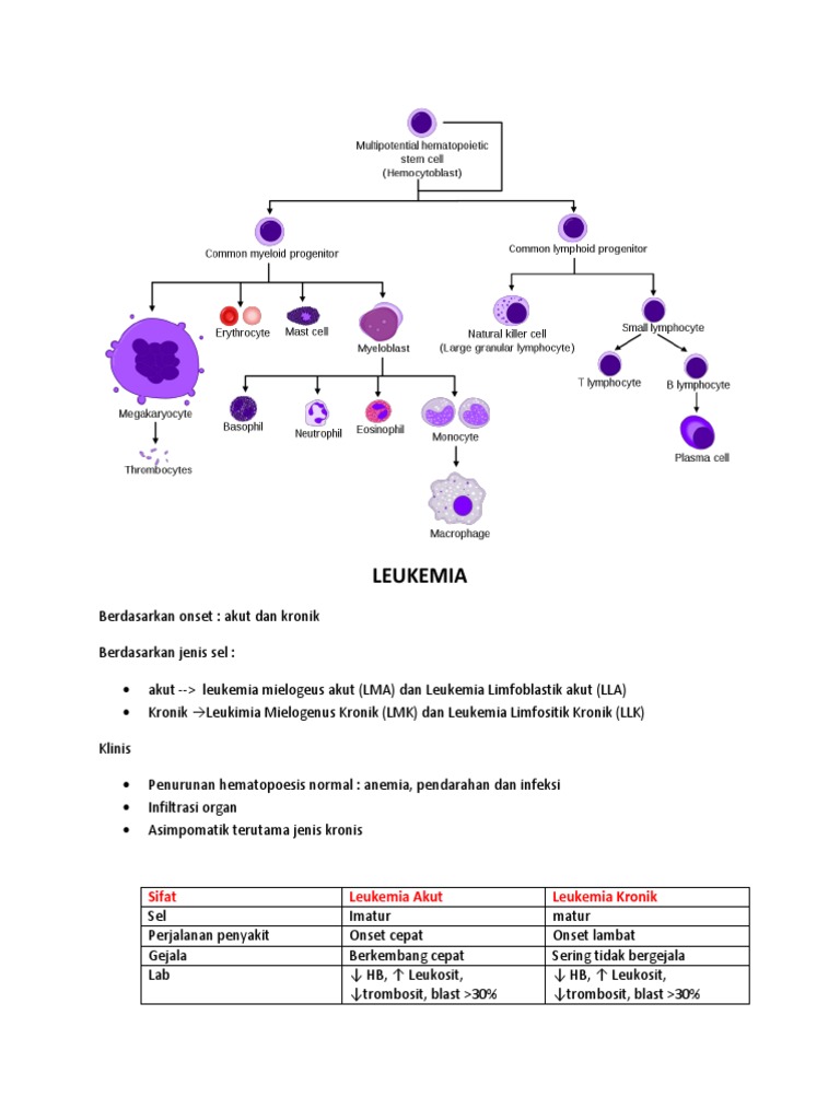 An Overview of Leukemia Classification and Treatment | PDF