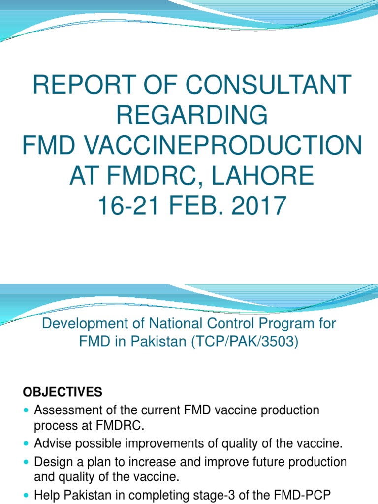 Consultant FMD Report | PDF | Vaccines | Public Health