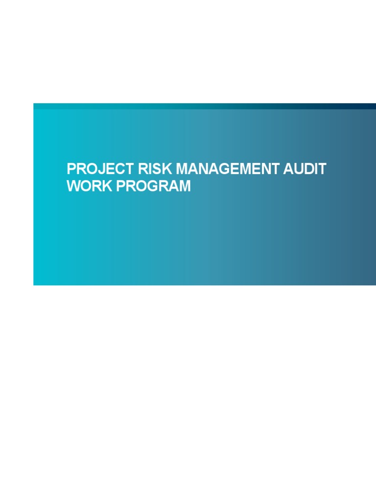 Project Risk Management Work Program | PDF | Project Management | Risk ...